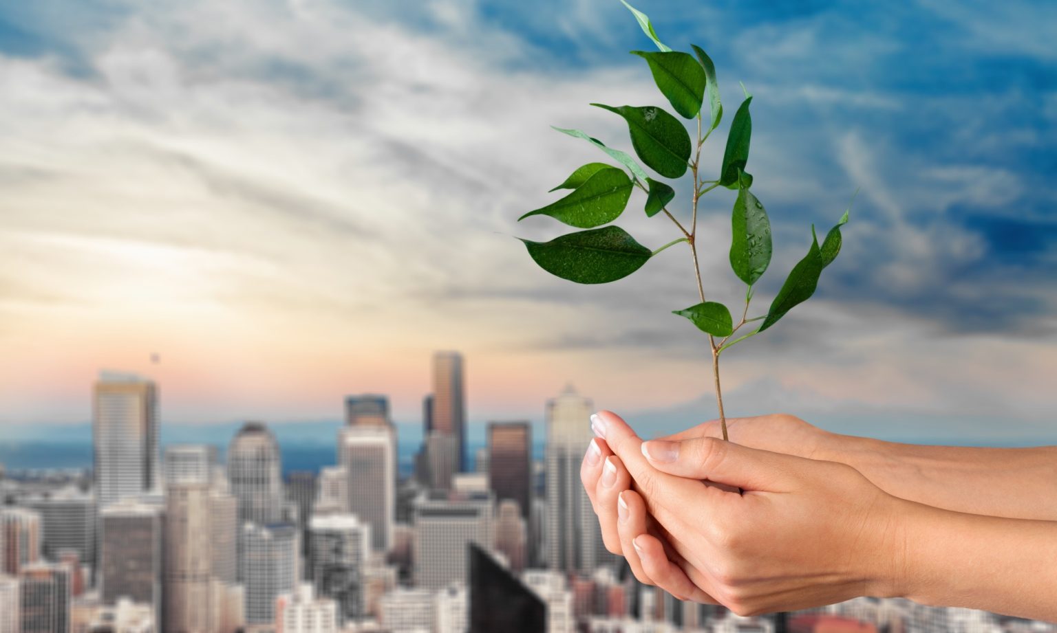 20 Eco-Friendly Ideas to Make Your Event More Sustainable | EB